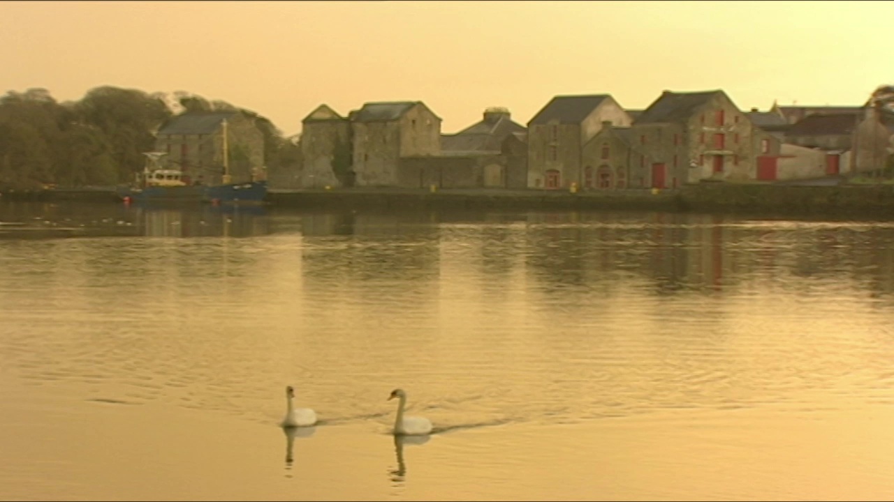 Lesser Spotted Ulster - Collections - Northern Ireland Screen | Digital ...